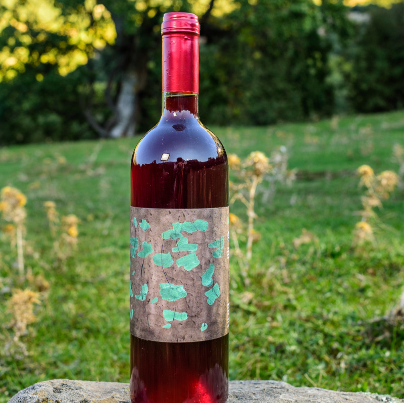 Dentroklimata Tree Climbing Vines | RAW WINE