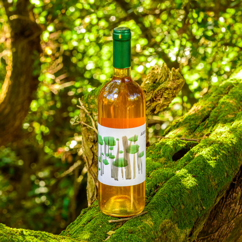 Doric White Wine | RAW WINE