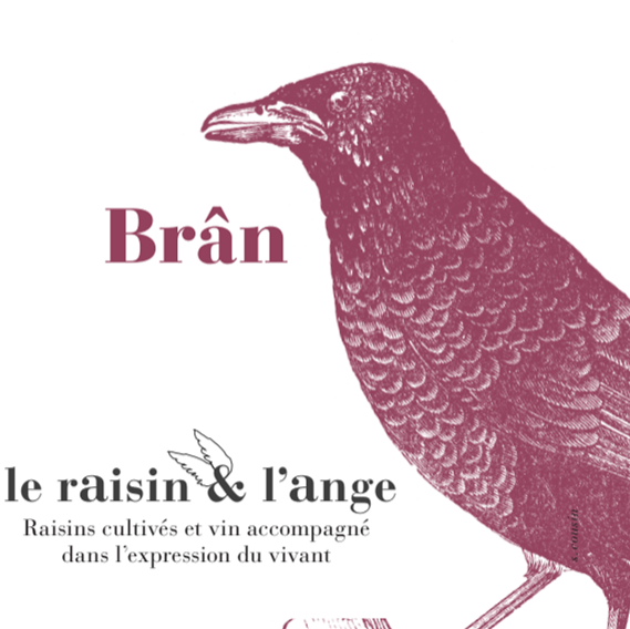 Bran | RAW WINE