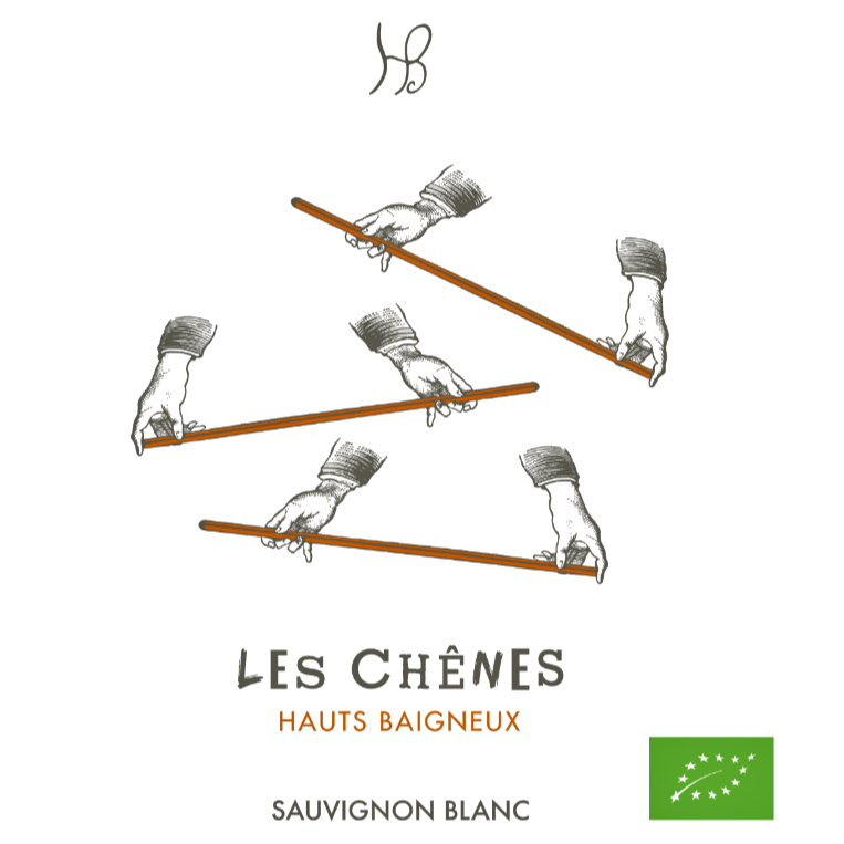 Chênes Sauvignon | RAW WINE