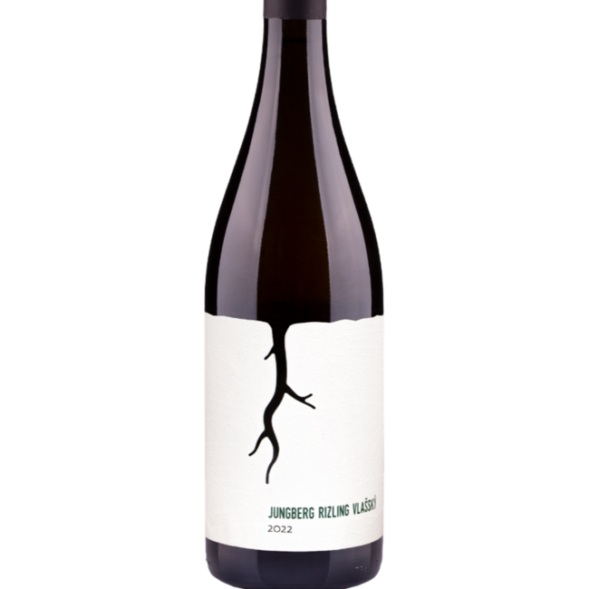 Jungberg Rizling Vlašský | RAW WINE