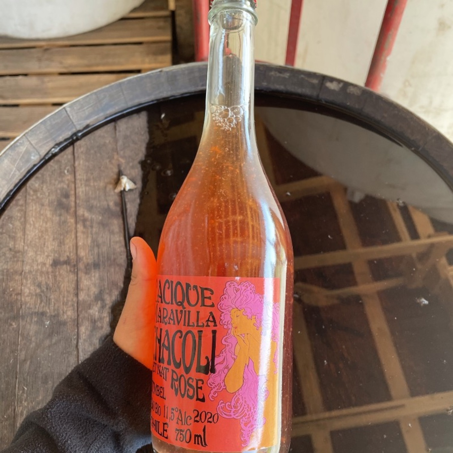Chacolí | RAW WINE